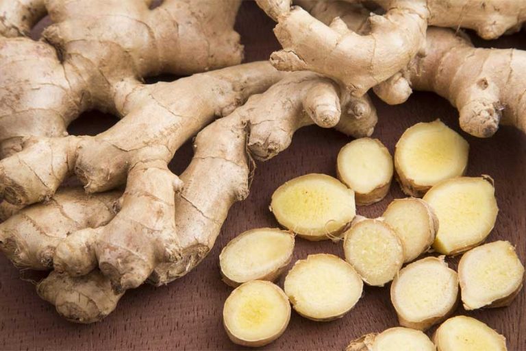 5 Cách chữa trào ngược dạ dày bằng gừng tại nhà